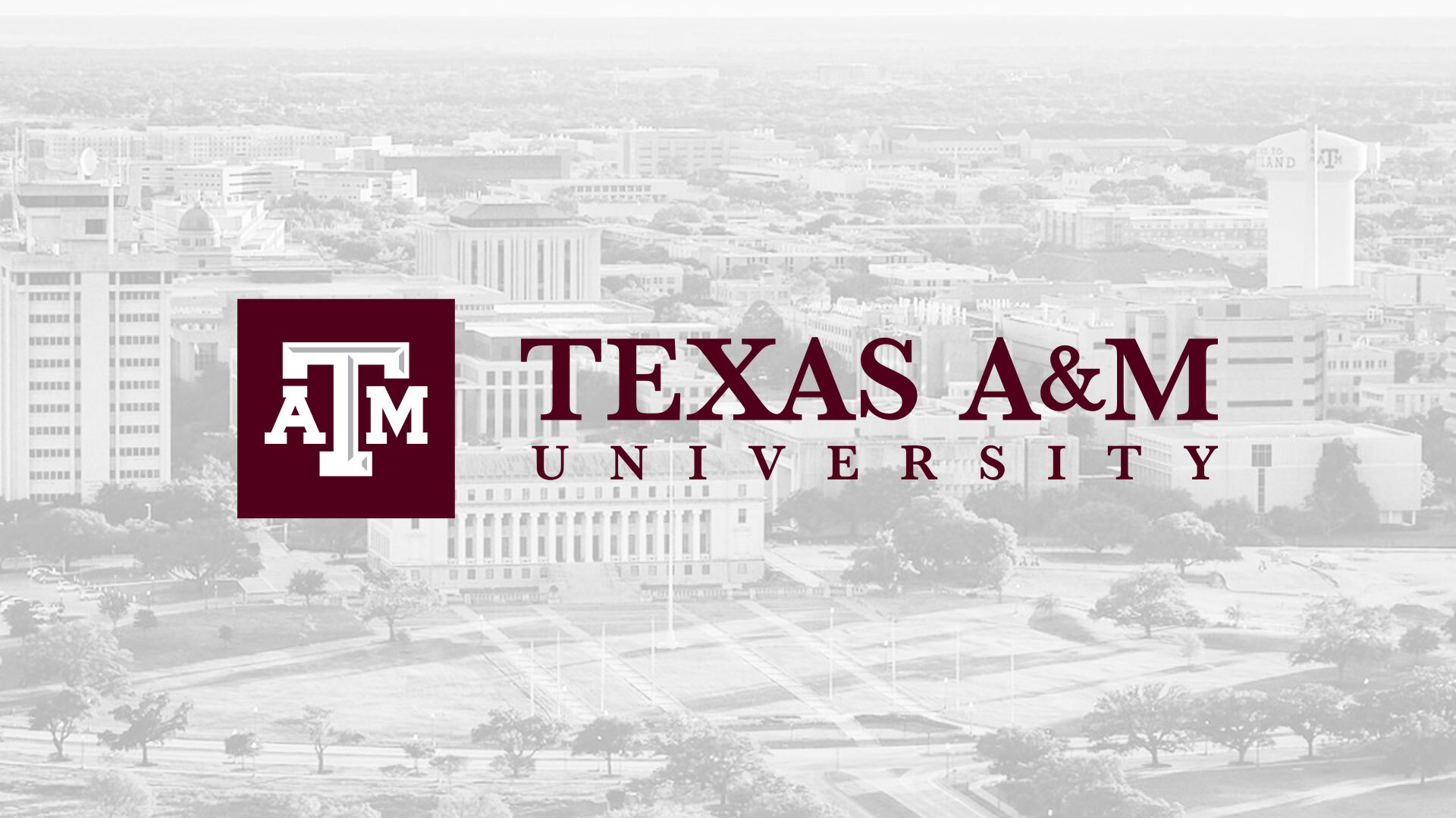 Aggie Core Values Faculty Fellows | Honors Academy